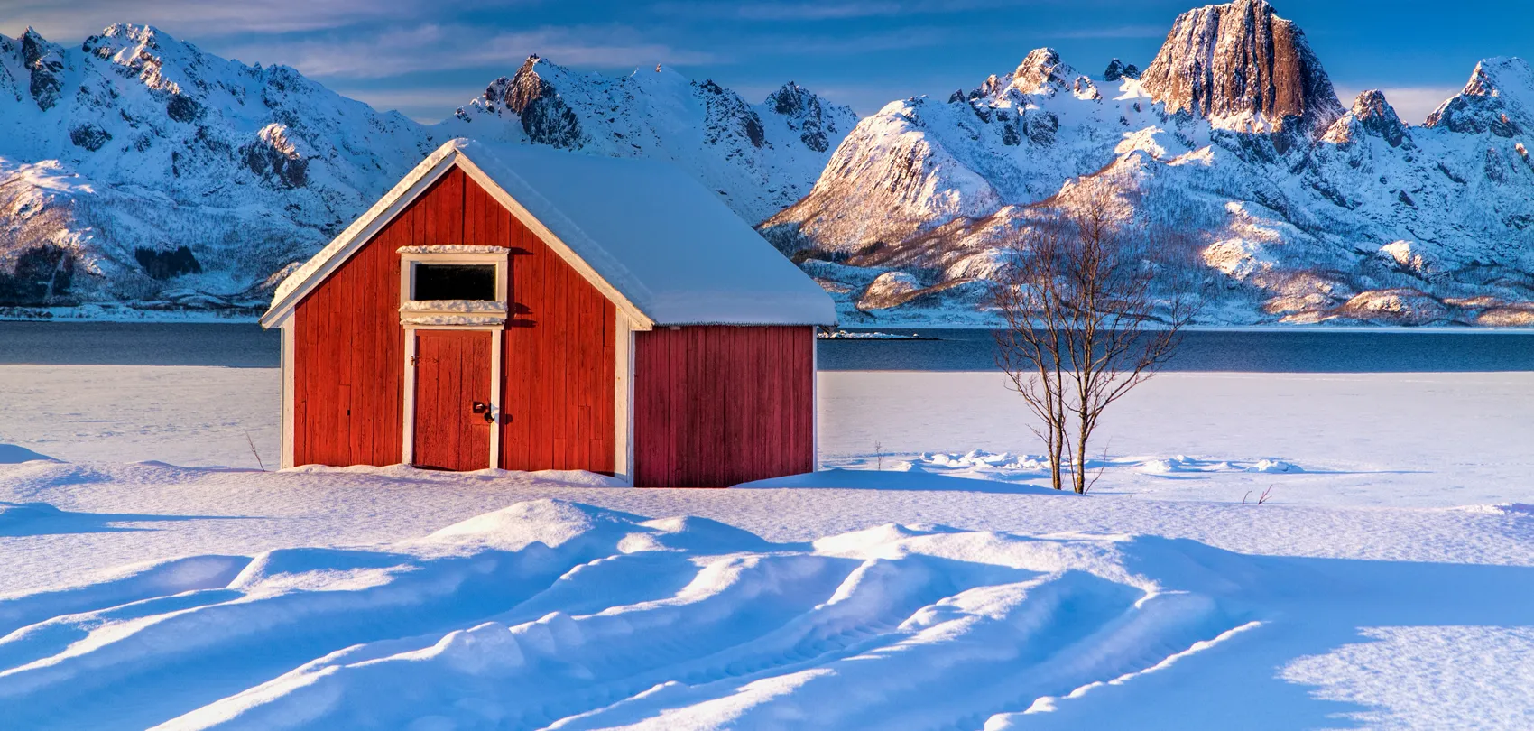 Exploring Endicott Arm: A Stunning Alaskan Wilderness Adventure – CruiseBooking.com