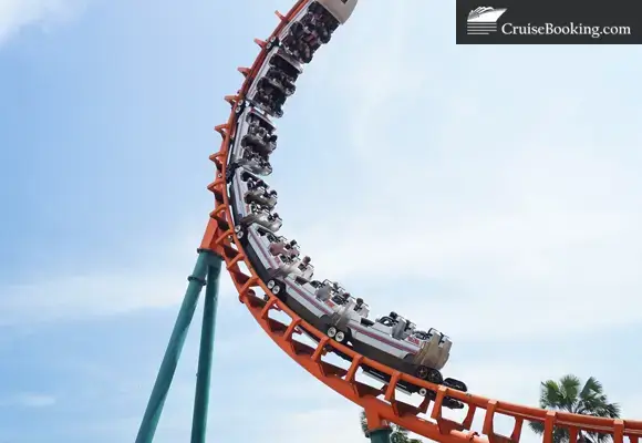 Which Cruise Ship Has the Best Roller Coasters? – CruiseBooking.com