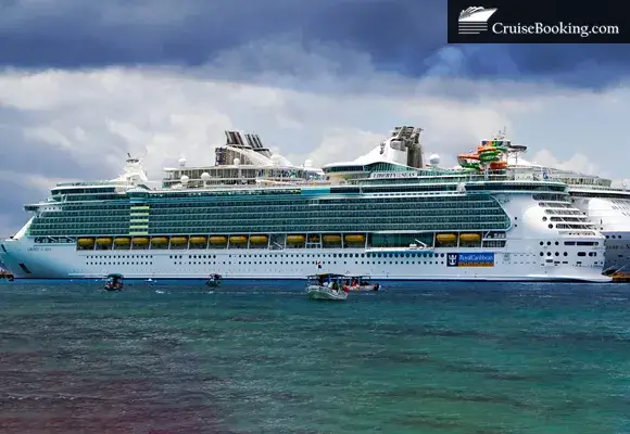 What Is the Difference between MSC Vs. Royal Caribbean? – CruiseBooking.com