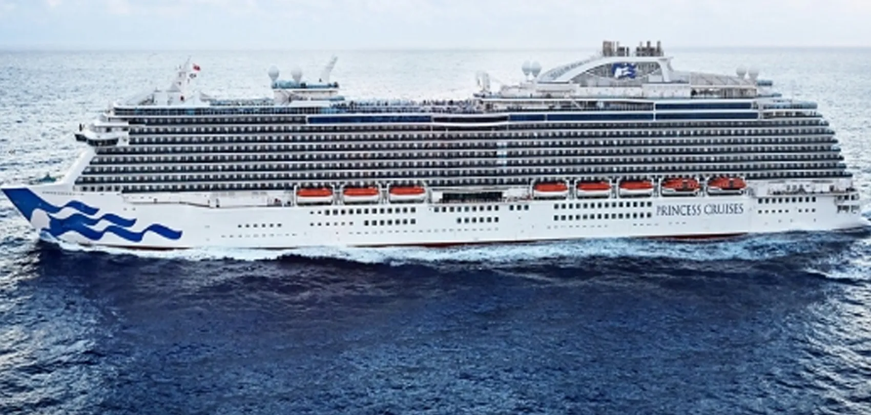 regal princess tips