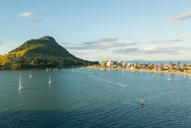 Book Cruises to New Zealand 2024 & 2025 | CruiseBooking.com
